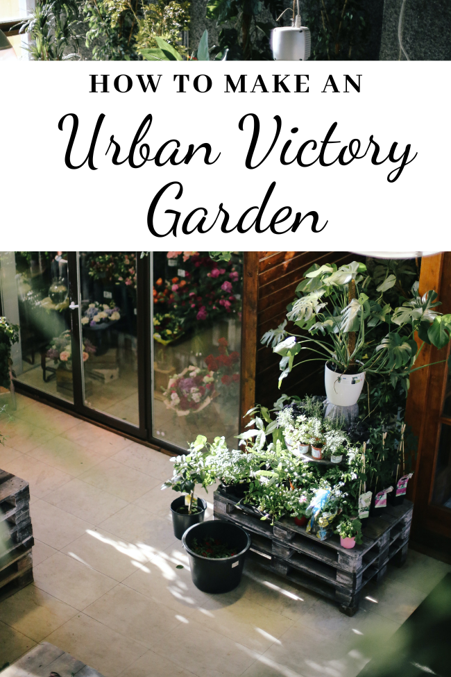 Ideas On How You Can Create An Urban Victory Garden | Homemaking For God