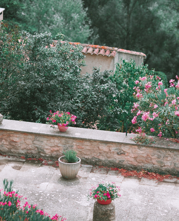Ideas On How You Can Create An Urban Victory Garden | Homemaking For God